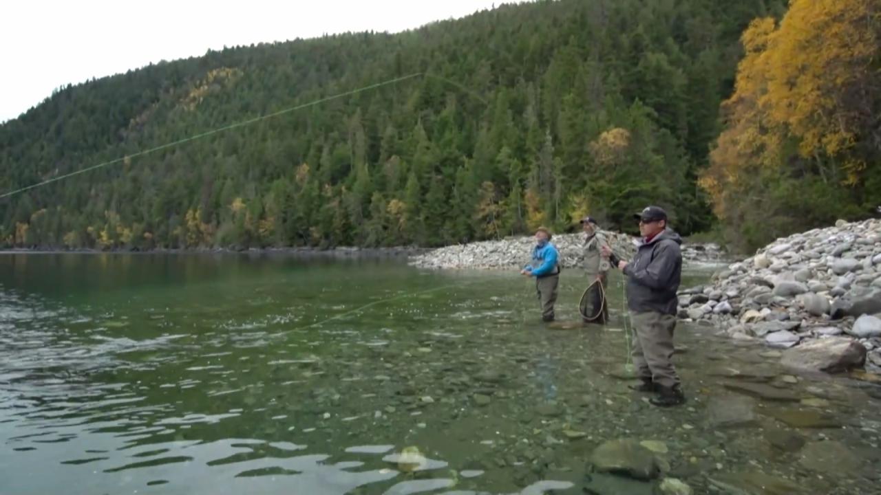 Spacemans TV Portal - News & Updates